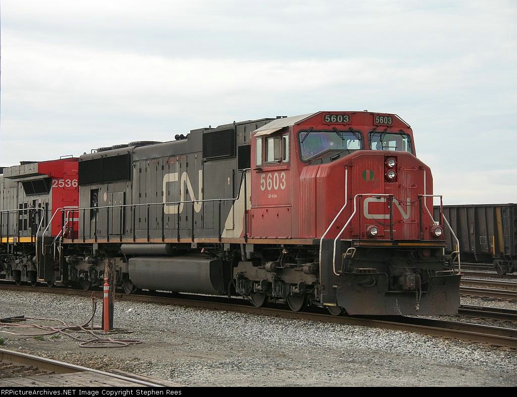 CN 5603